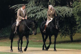 Commonly confused words: reins and reigns (and rains) – Apostrophes, Etc.